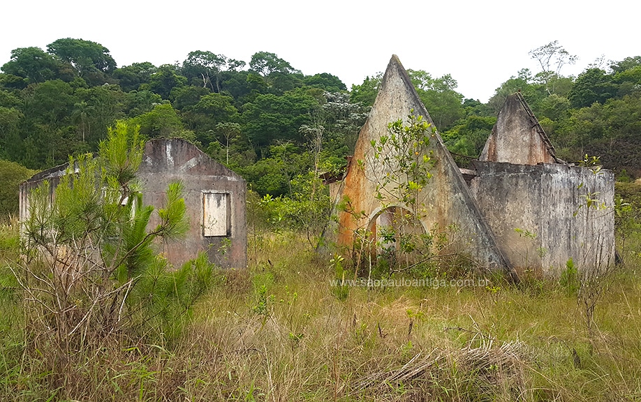 Isto é a Vasconcelândia – São Paulo Antiga